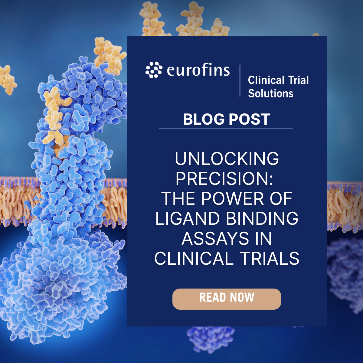 Unlocking Precision: The Power of Ligand Binding Assays in Clinical Trials